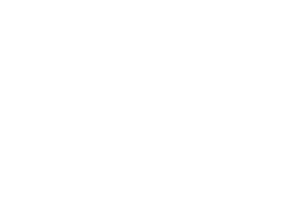 The Stagecoach Band – The Best of Country & Southern Rock